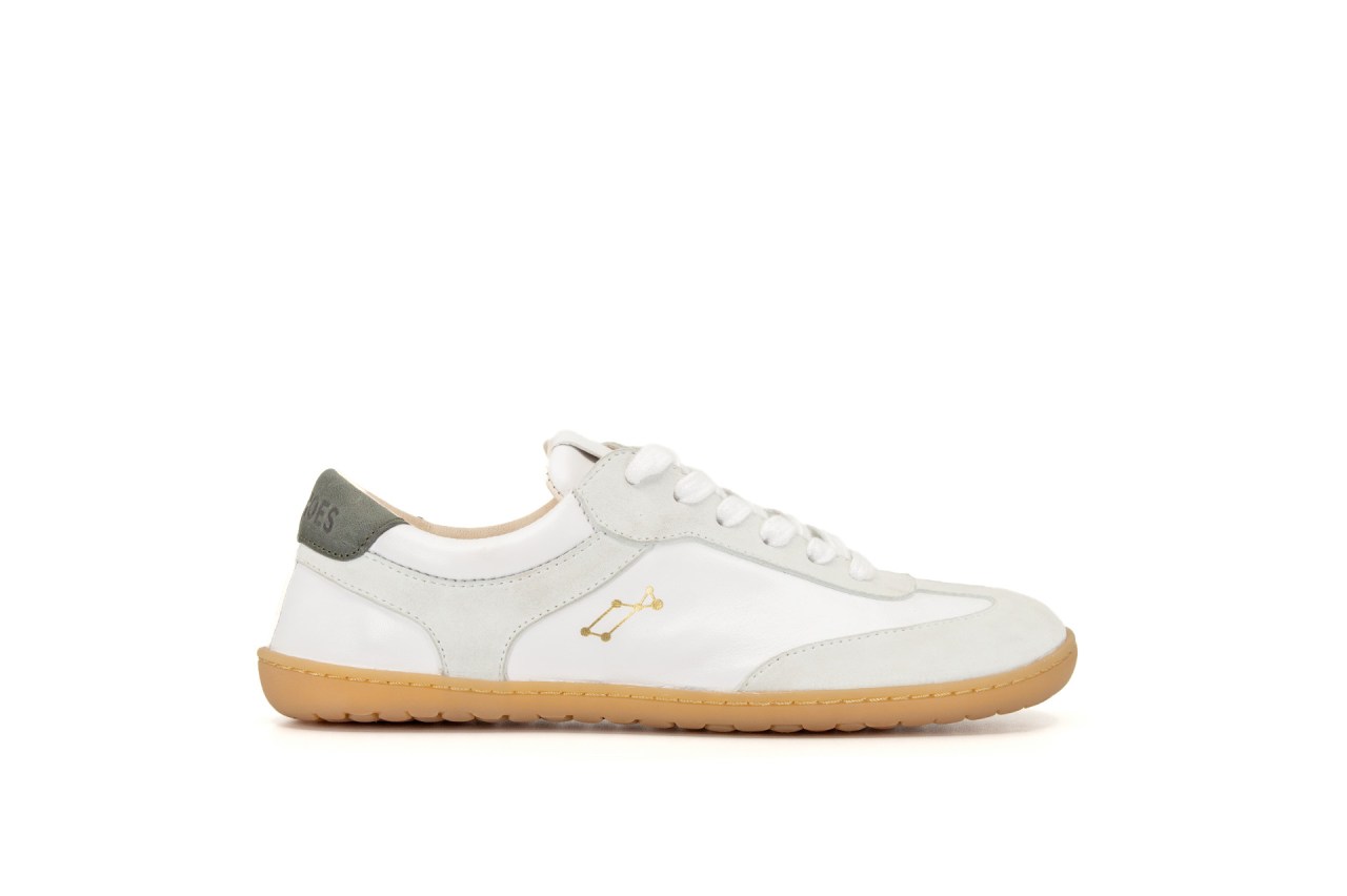 Mukishoes Lyra Cygnus